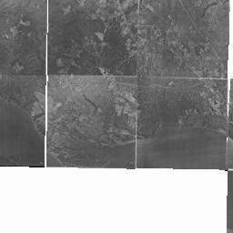 1980 Aerial Imagery